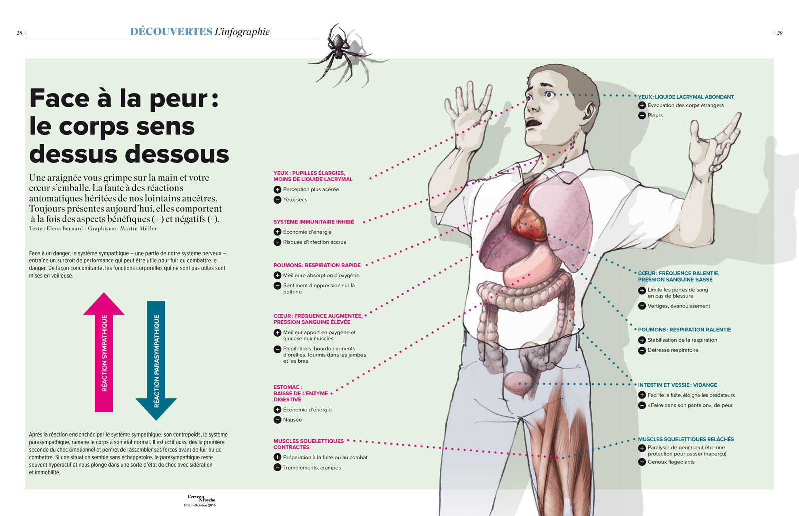 J’ai peur, Tu as peur, Il a peur… | Etape Hypnose